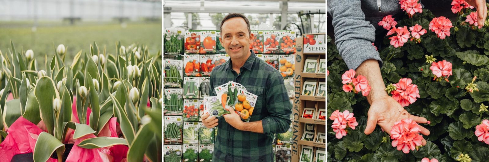 Spring Gardening 101 – Frankie’s Top Tips to Get Your Garden Growing in ...