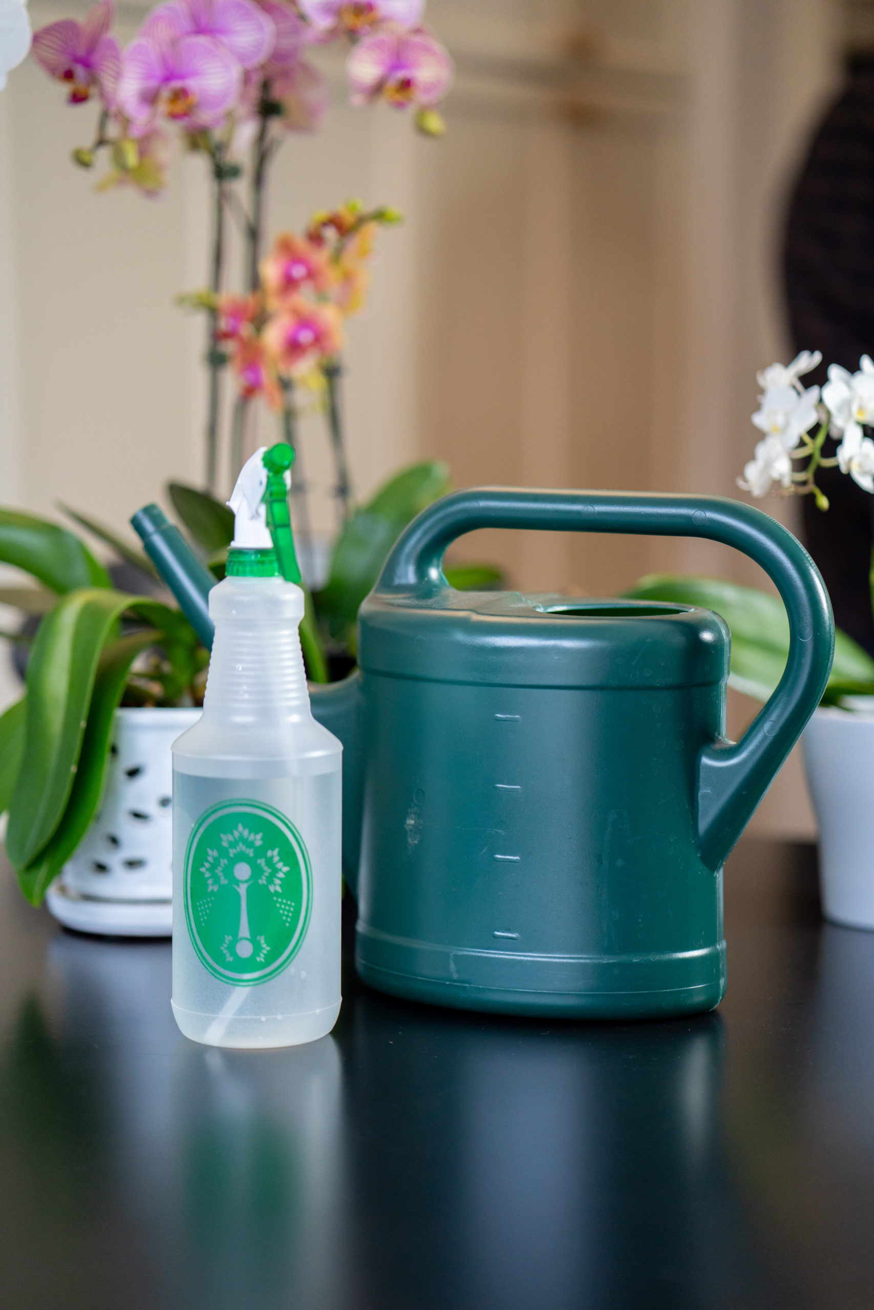 How to Grow Beautiful Orchids at Home | frankieflowers.com